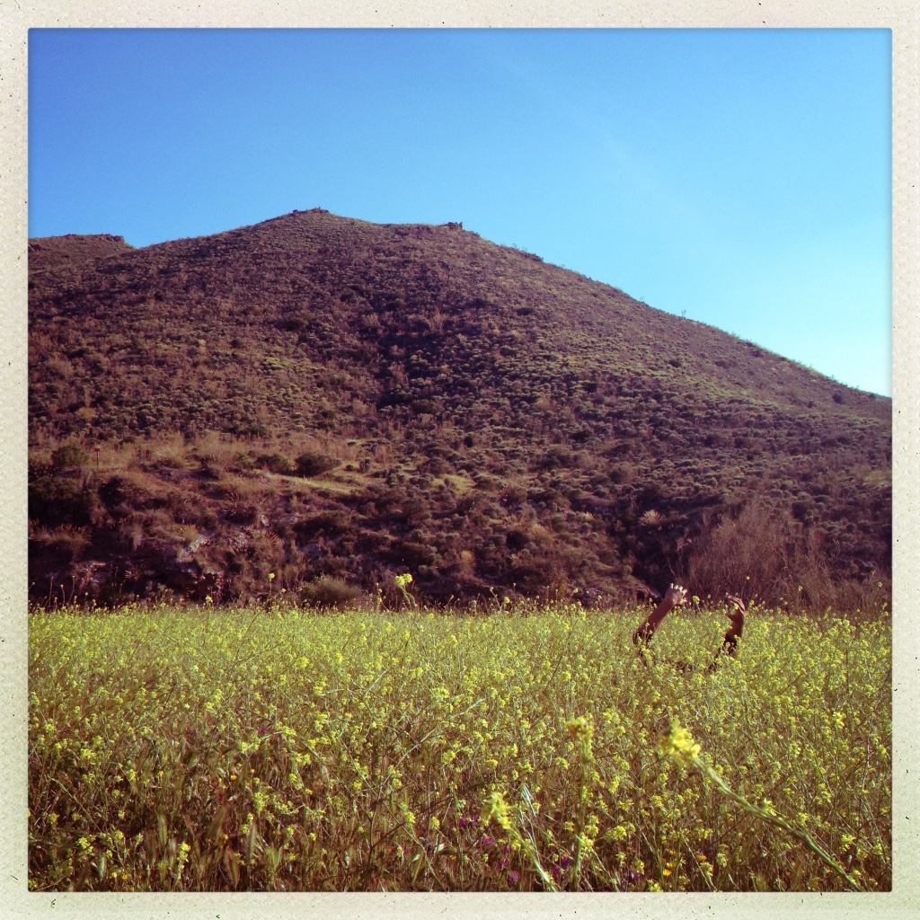 Meditation Retreats in Sunseed - Sunseed Desert Technology