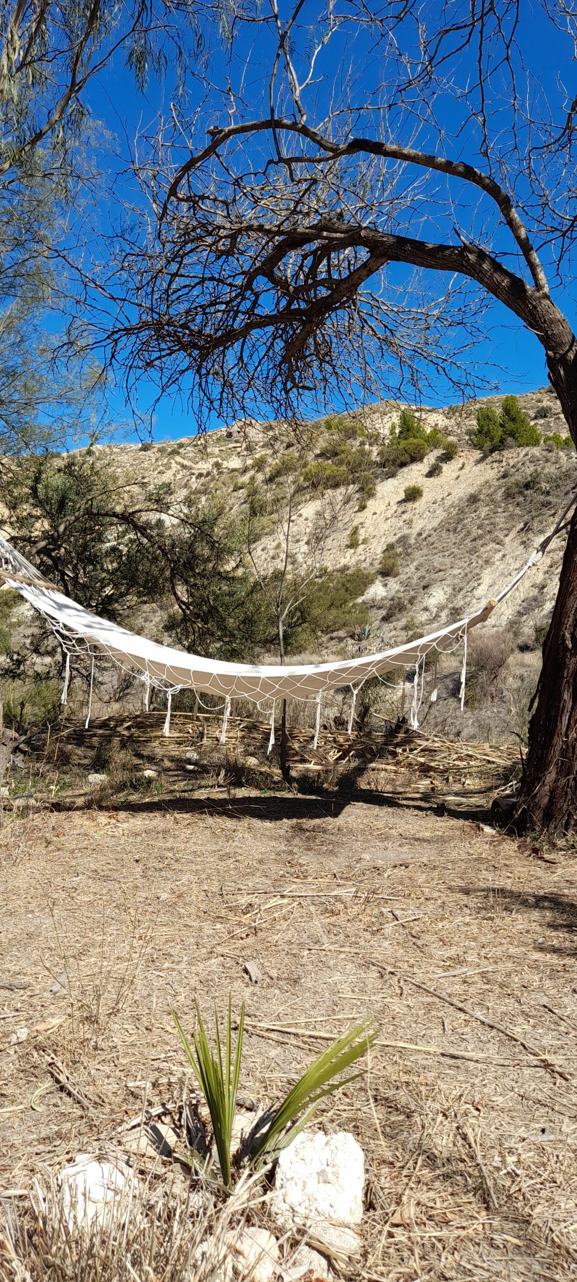 Creative writing inspired by the gardens at Sunseed! - Sunseed Desert ...