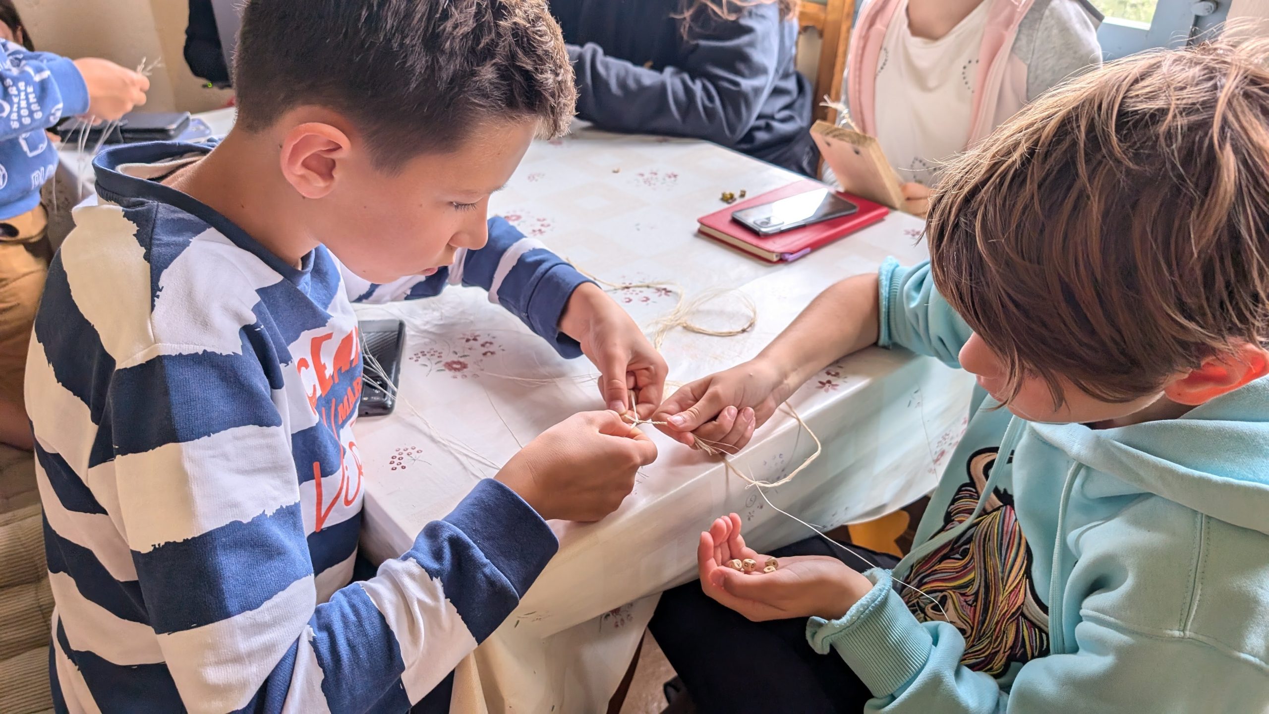 Sunseed Hosts Bulgarian Students for Second Year in a Row - Sunseed ...