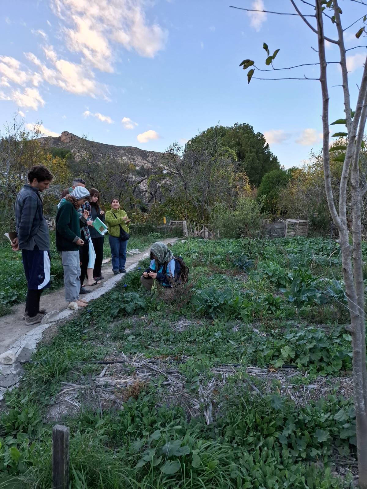 From November to December: Inspiring Change Together at Sunseed ...